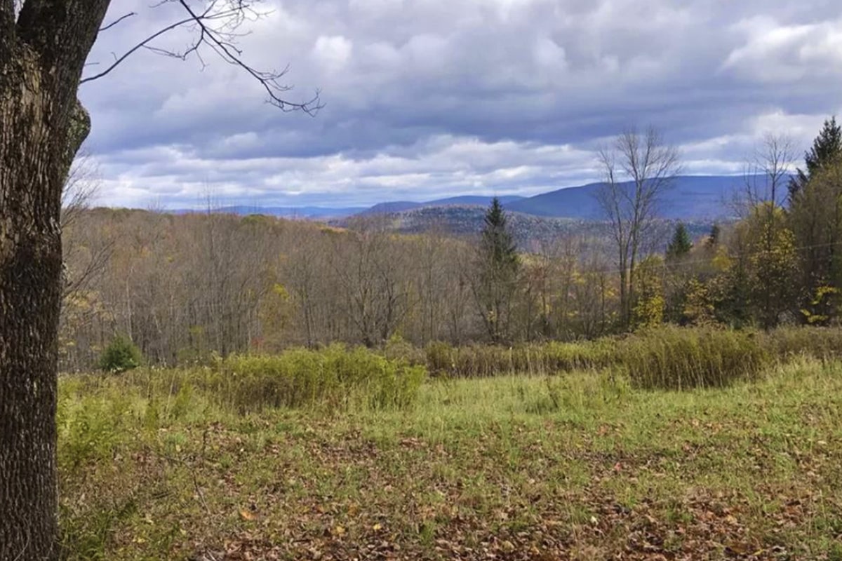 Jonesin’ for Views on Jones Hollow – HUTS Land Listings